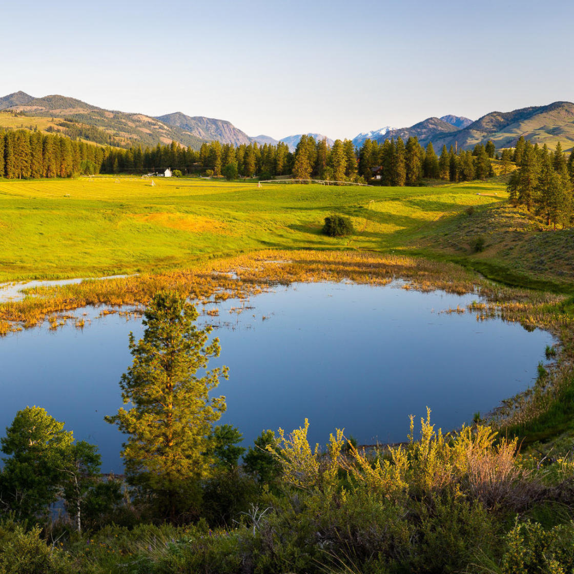 The Campaign for Sunny M Ranch