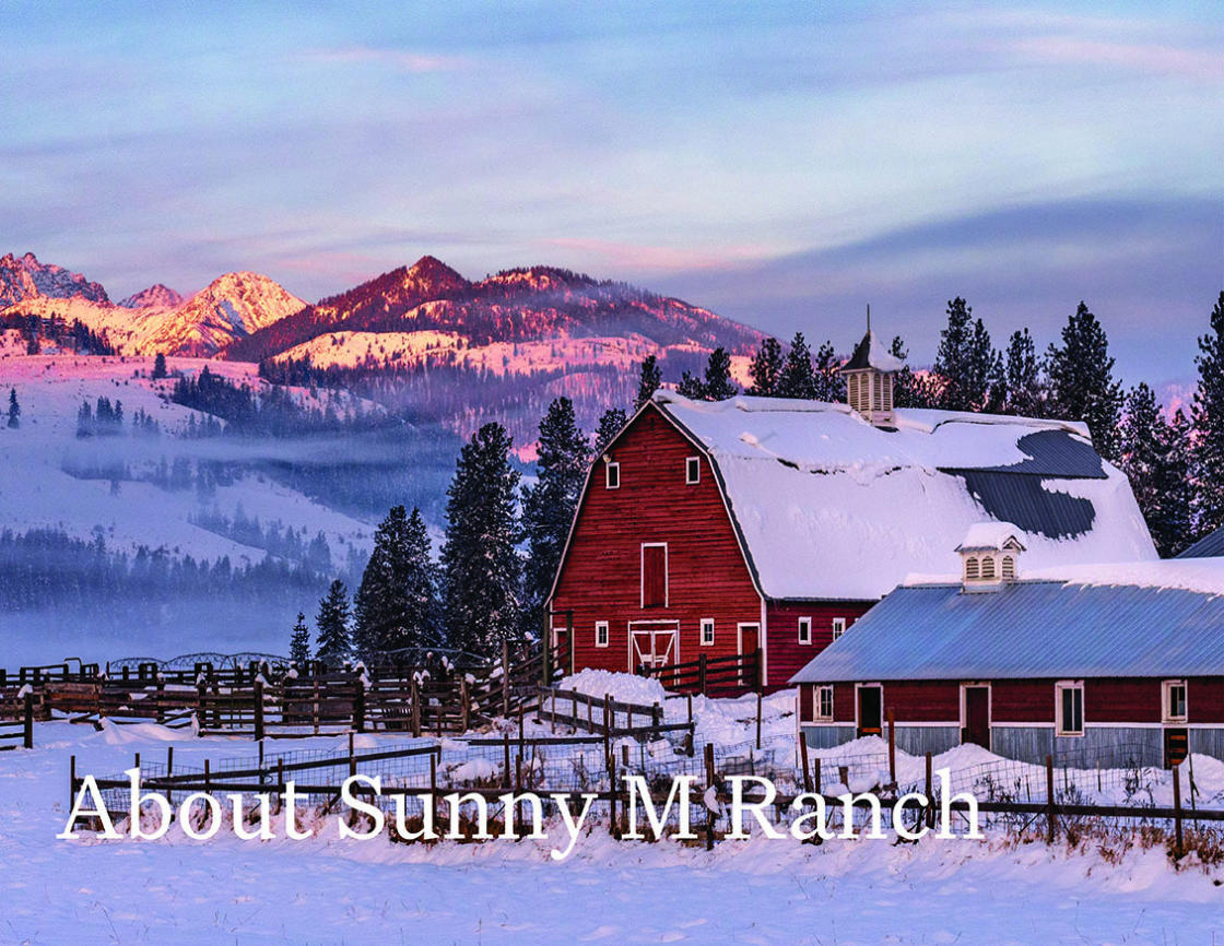 The Campaign for Sunny M Ranch