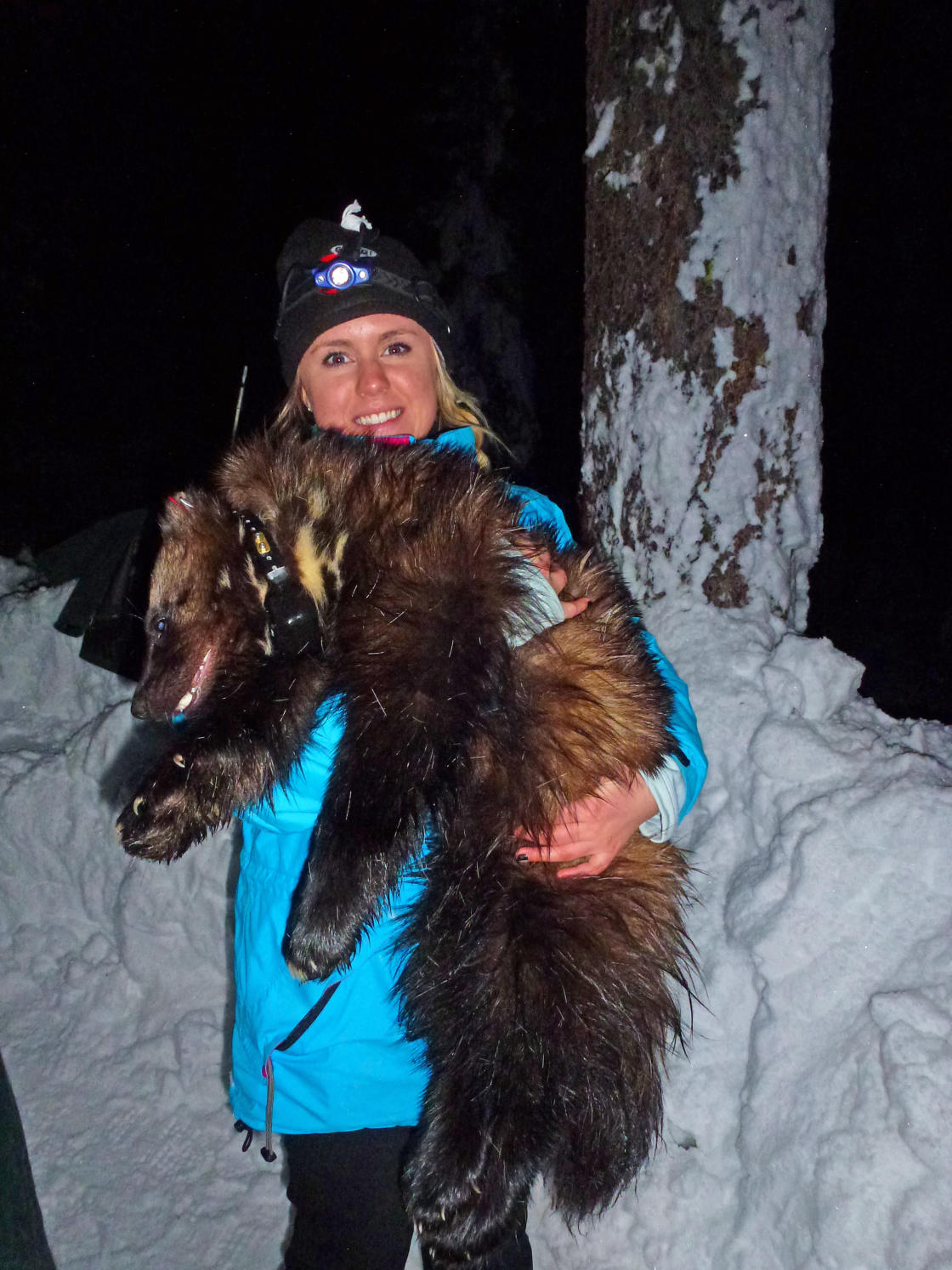 First Tuesday: Scott and Amy Fitkin