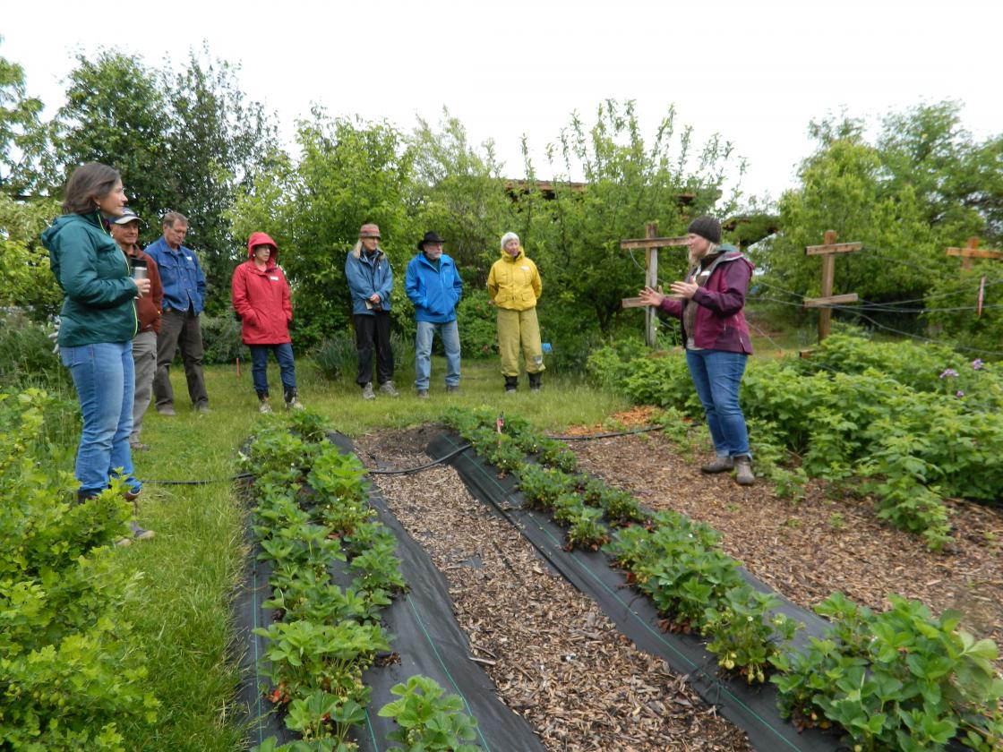 Supporting Local Agriculture