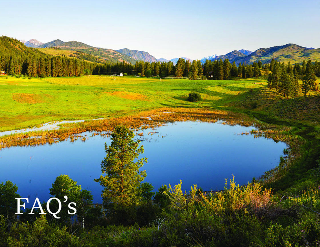 The Campaign for Sunny M Ranch