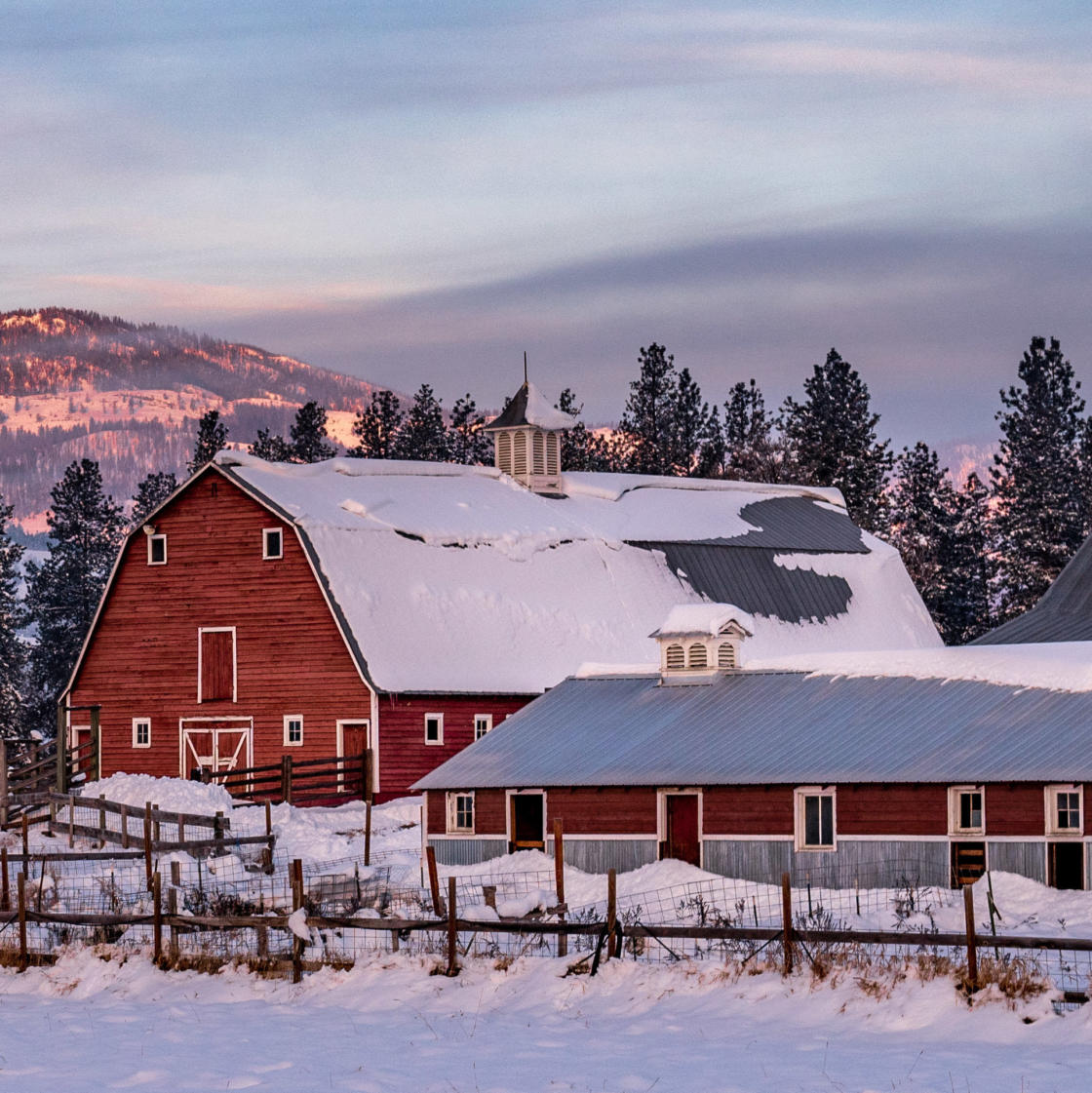 The Campaign for Sunny M Ranch