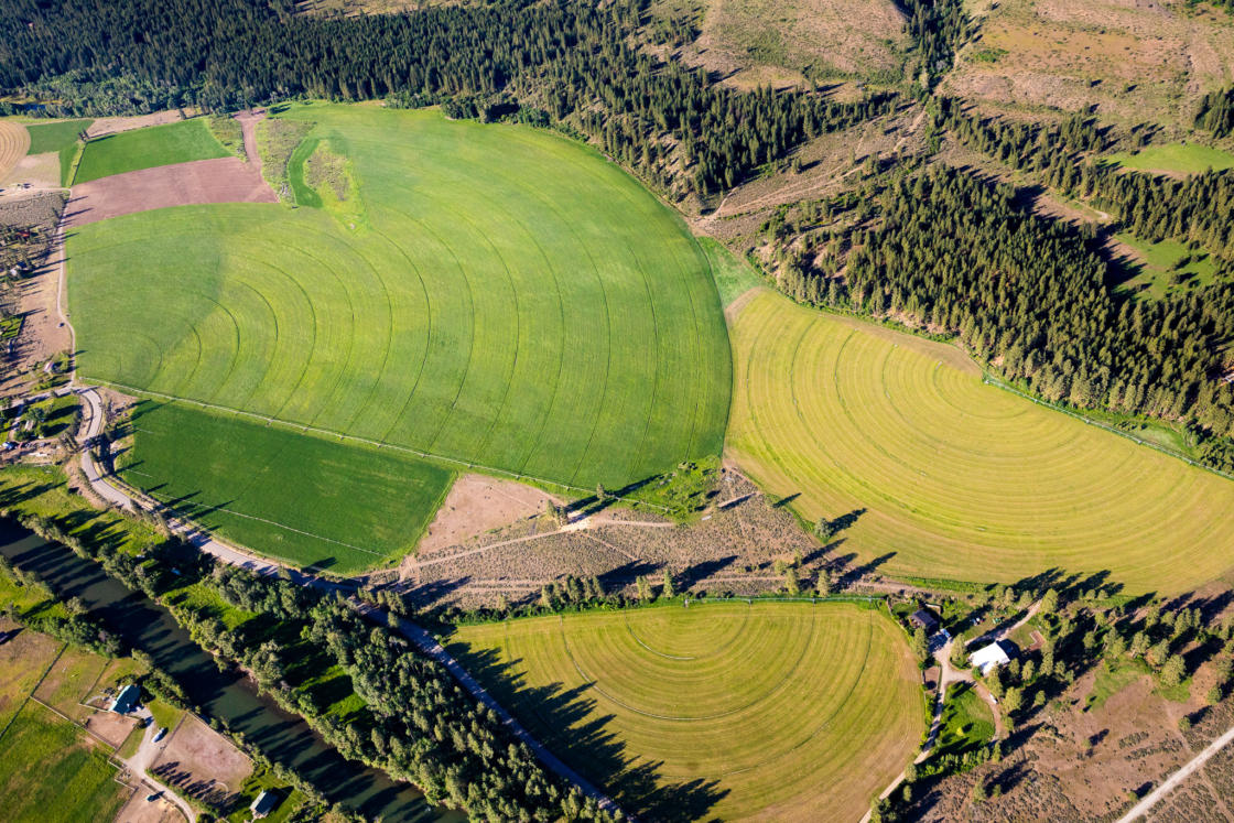 The Campaign for Sunny M Ranch