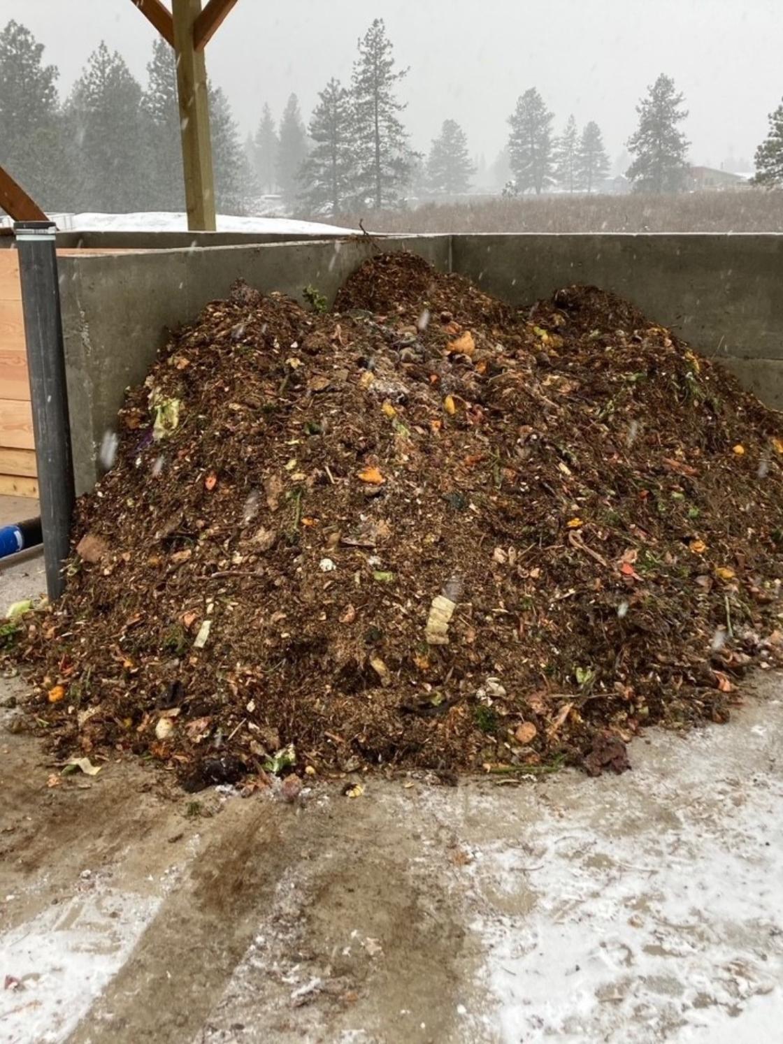 First Tuesday: Compost Tour with Kate Wynne