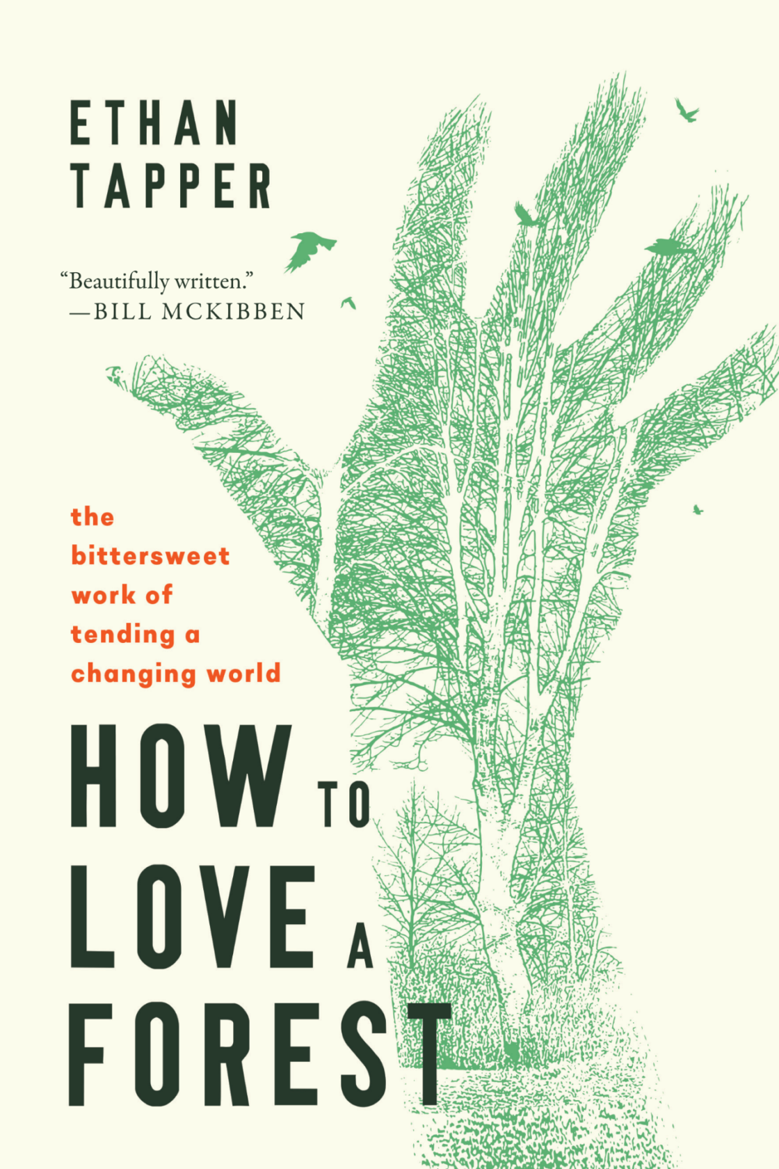 First Tuesday: How to Love a Forest with Ethan Tapper