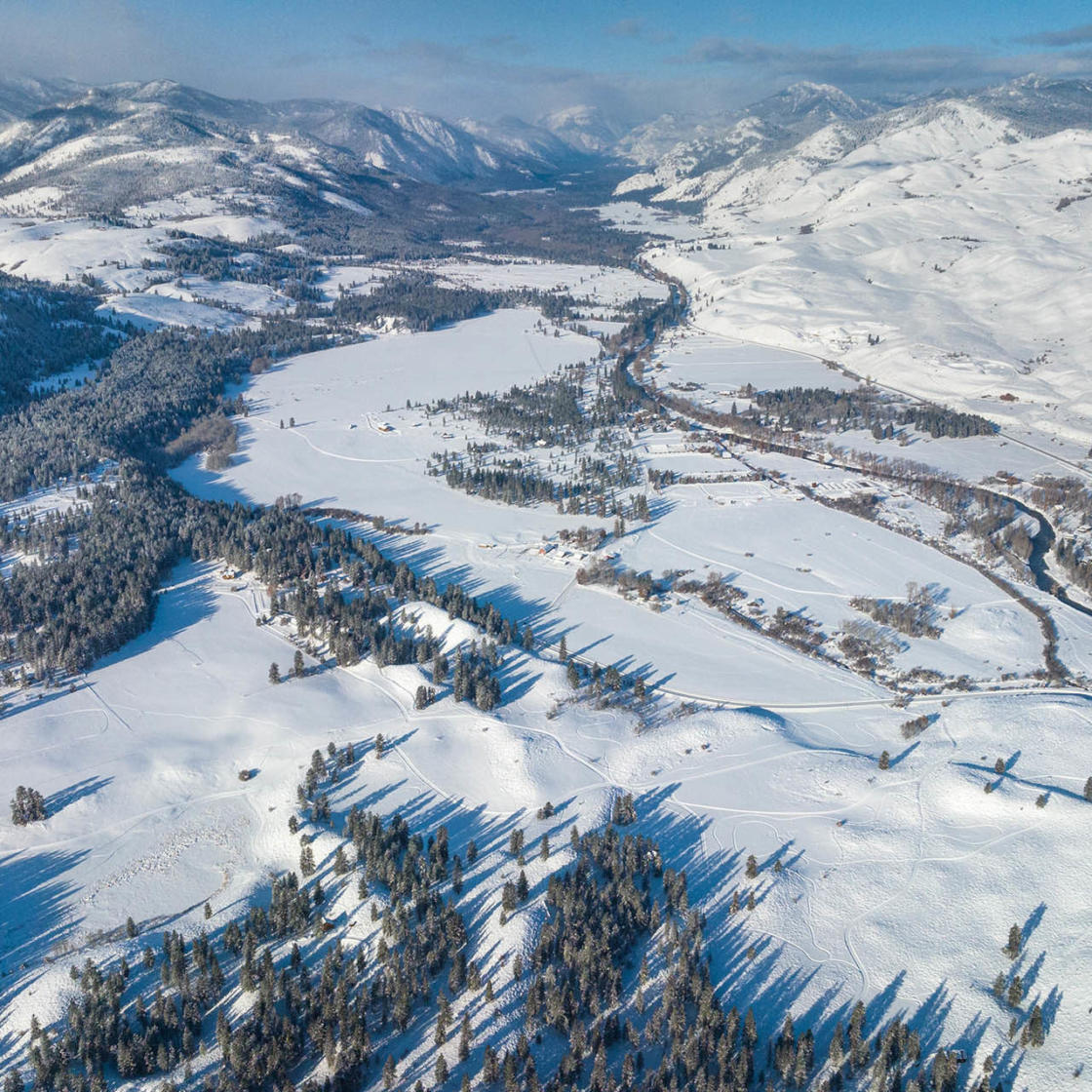 The Campaign for Sunny M Ranch