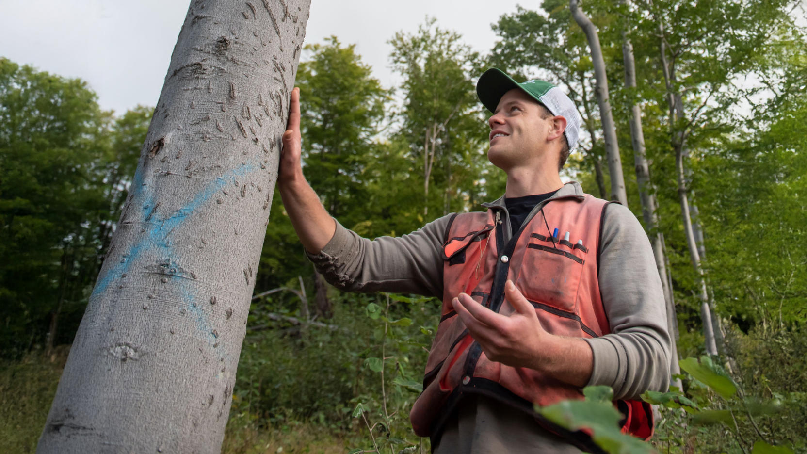 First Tuesday: How to Love a Forest with Ethan Tapper