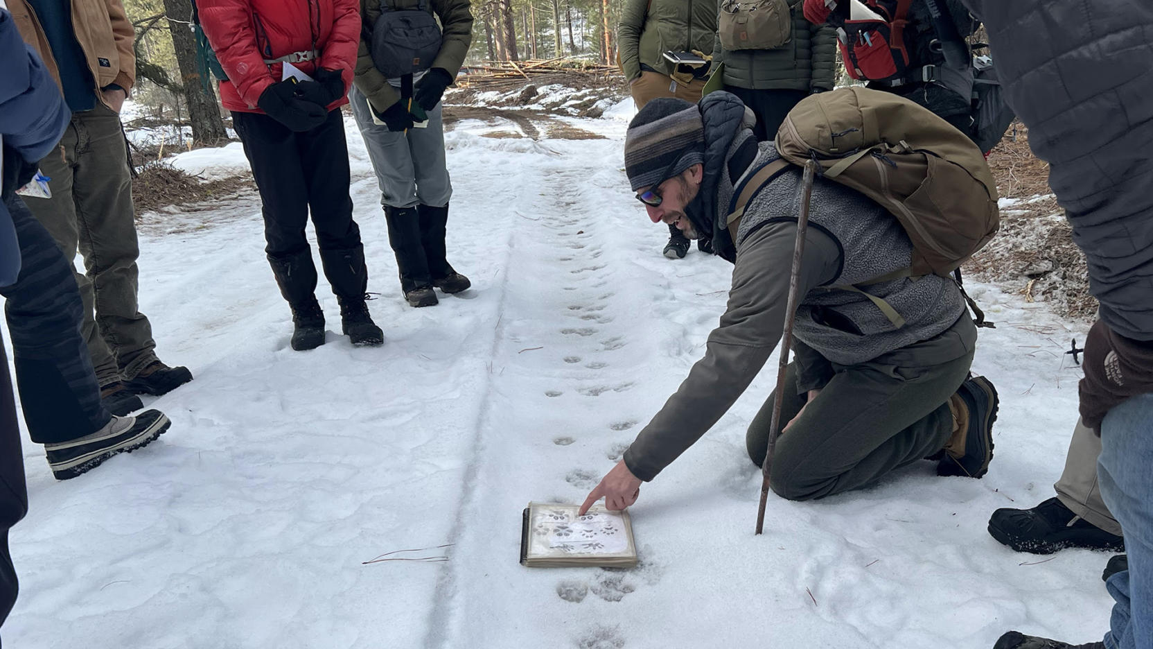 Two-Day Winter Tracking Course with David Moskowitz